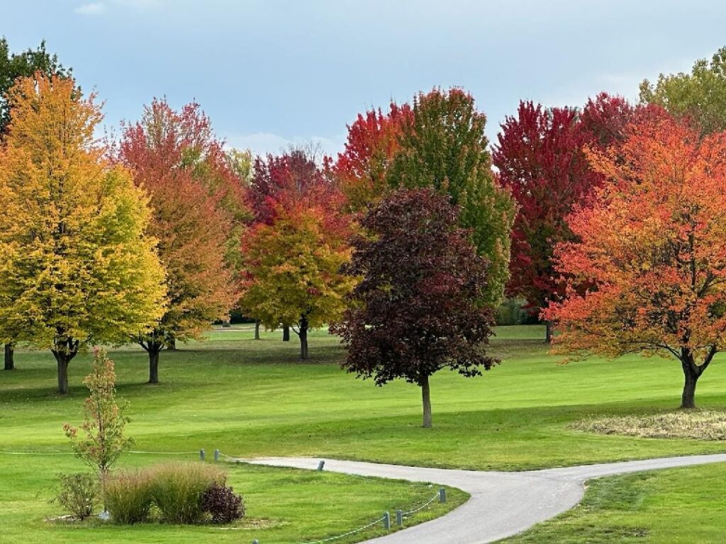 Sandy Ridge Golf Course – Midland, MI – The perfect hidden golf ...